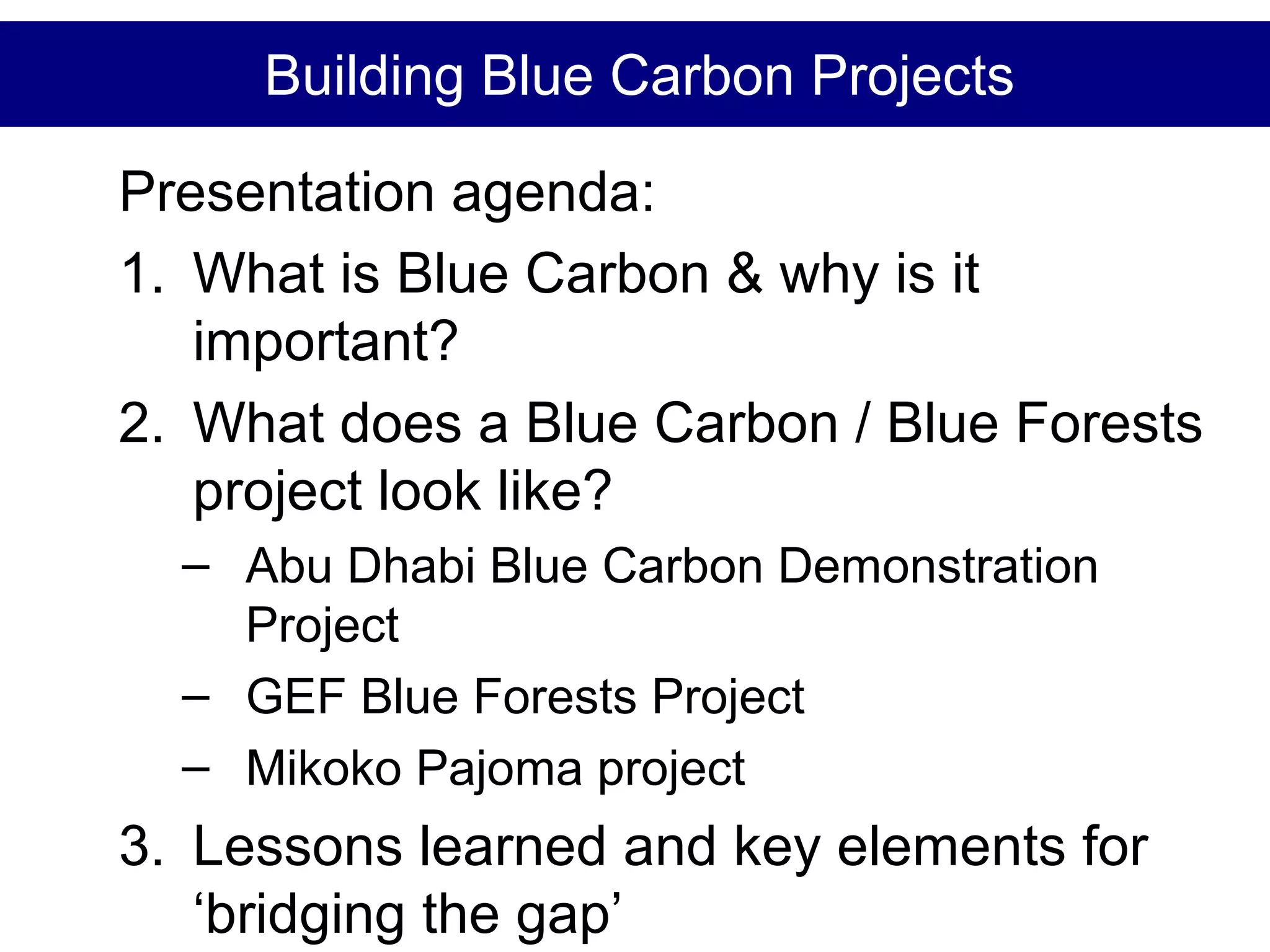 Blue Carbon+: Efforts to harness coastal and marine ecosystem values for improved ecosystem ...