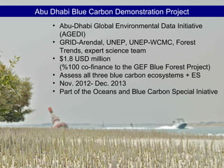 Blue Carbon+: Efforts to harness coastal and marine ecosystem values ...