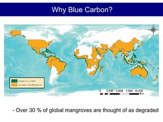 Blue Carbon+: Efforts to harness coastal and marine ecosystem values ...
