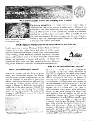 Toxic Blue-Green Algae Reminders | PDF | Environment | Science