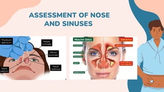 Nose, Sinuses, Mouth and Throat Presentation | PDF