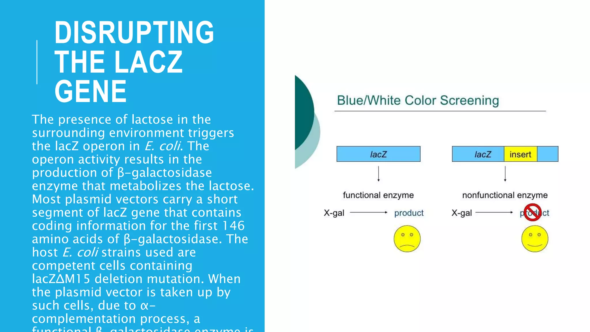 Blue white screening | PPTX