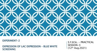 Blue white screening | PPTX