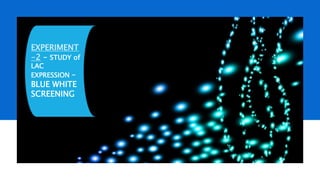 Blue white screening | PPTX