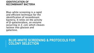 Blue white screening | PPTX