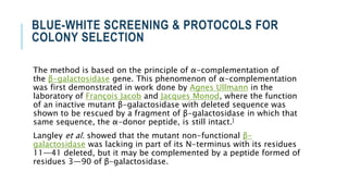Blue white screening | PPTX