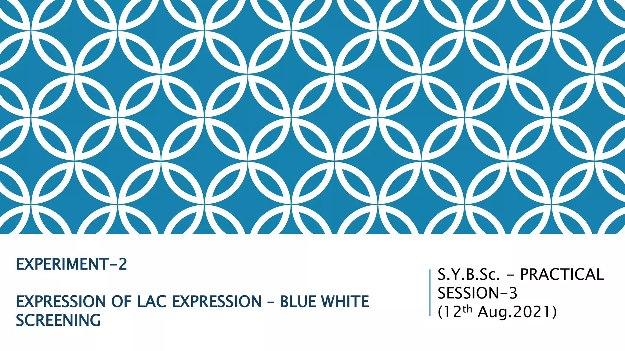 Blue white screening | PPTX
