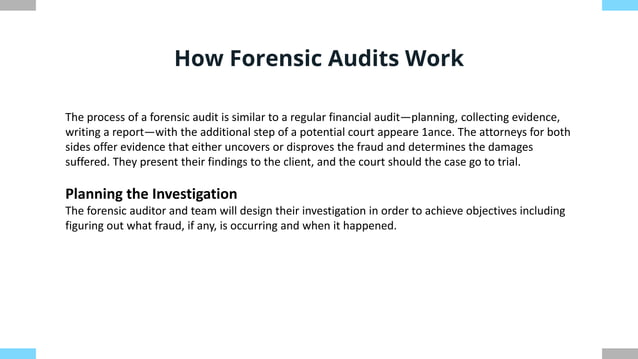Forensic Audit.pptx