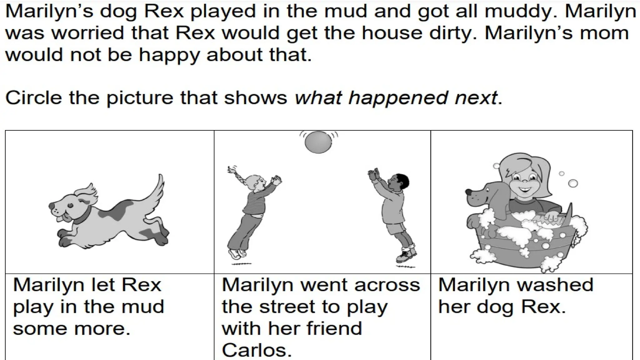 Illustrations on the cover and predict what the story may be about | PPTX