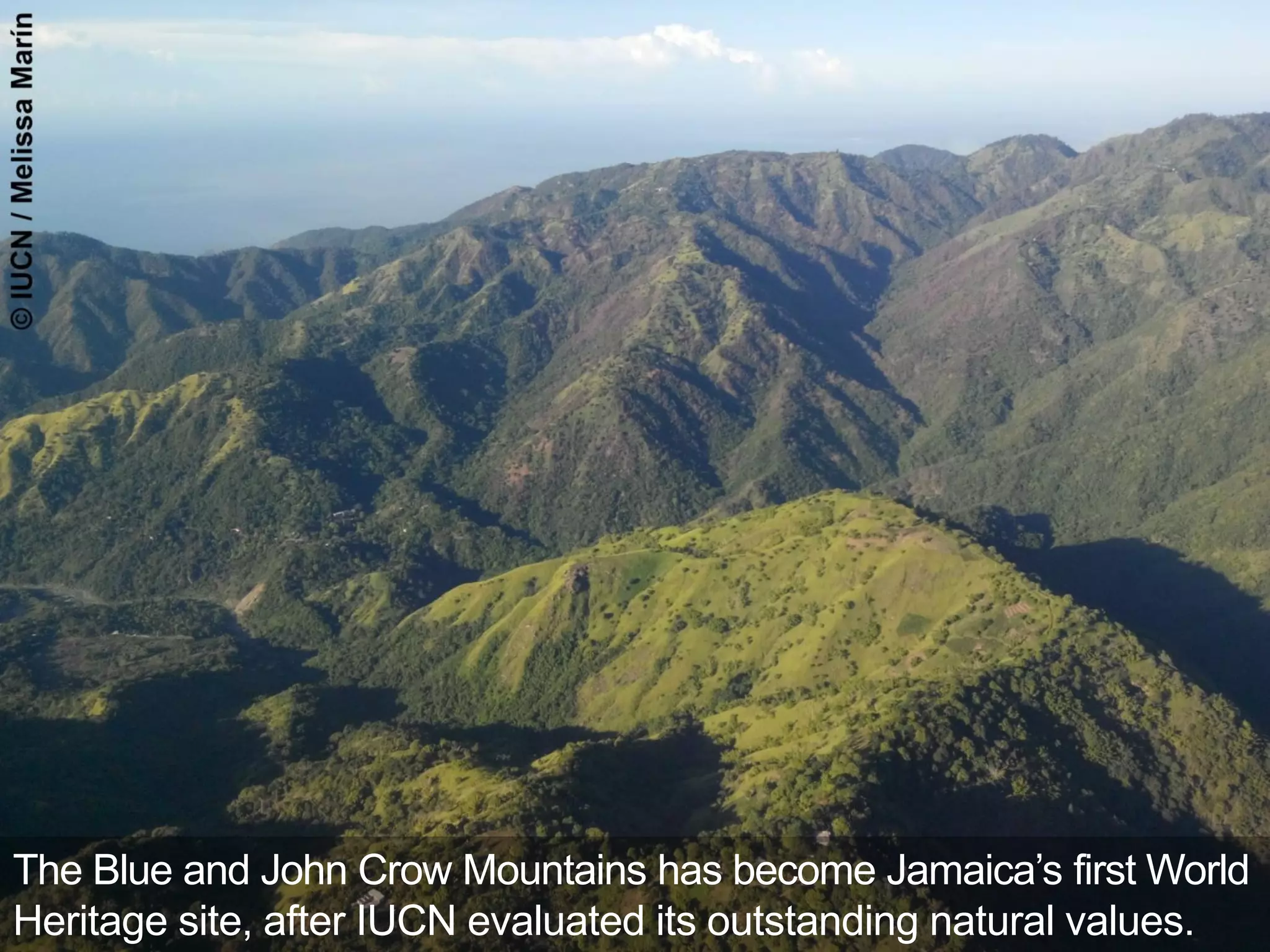 Blue and John Crow Mountains, Jamaica | PDF