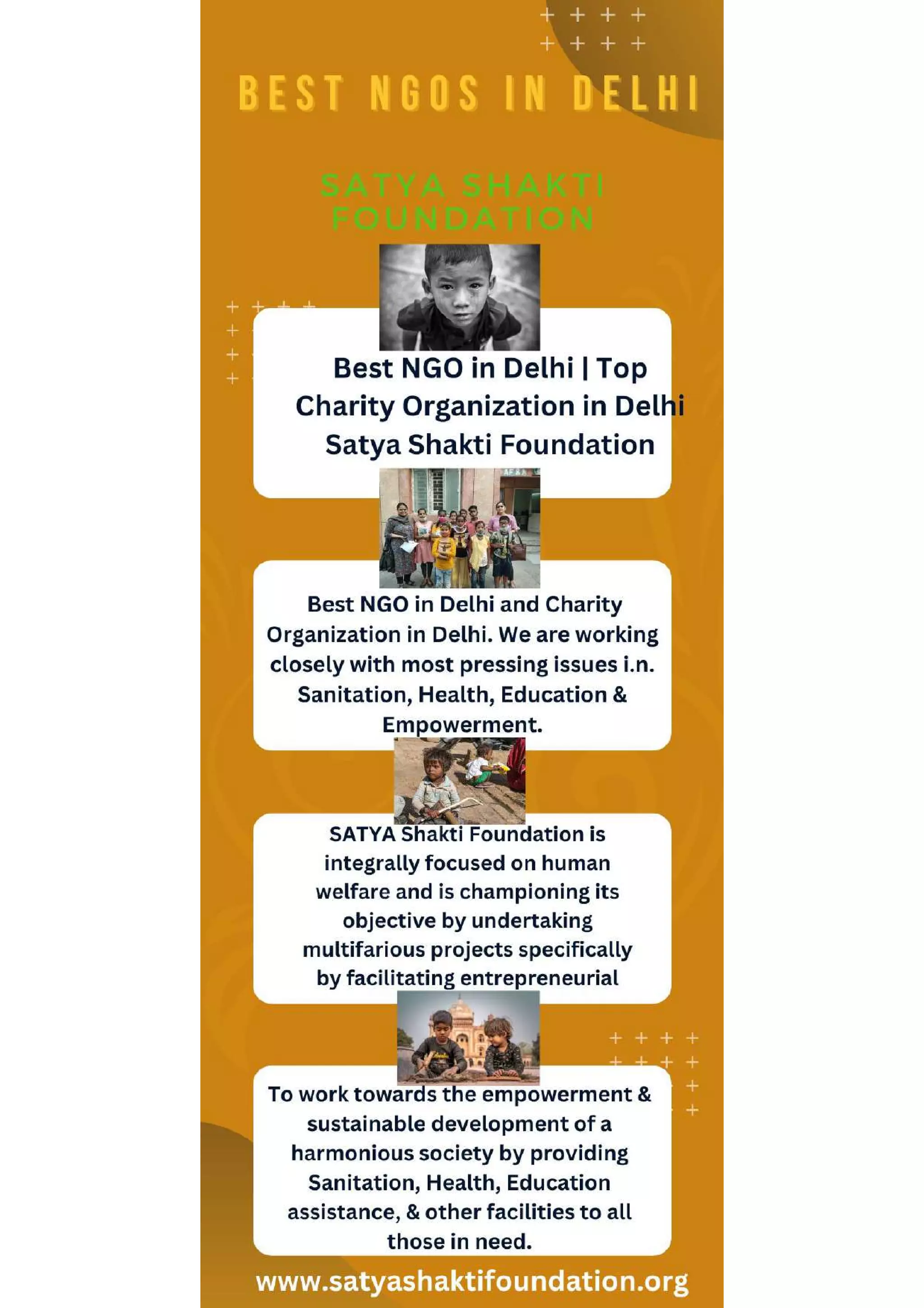 Best NGOs IN Delhi Satya shakti foundation | PDF