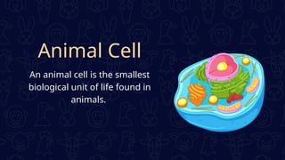 Blue and White Illustrative Parts of Animal Cell Presentation.pptx