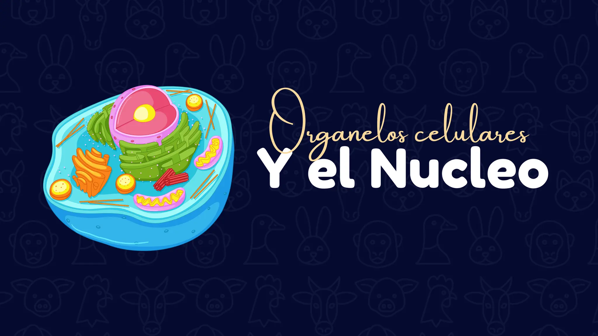 Presentacion Organelos Celulares Y El Nucleo Celular .pdf