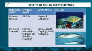 AQUATIC POLLUTION AND REPUBLIC 10645, SPECIES OF FISH | PPTX