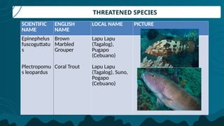 AQUATIC POLLUTION AND REPUBLIC 10645, SPECIES OF FISH | PPTX