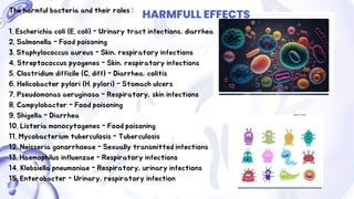 Effects of Probiotics on Gut Health and Immune Function | PPT