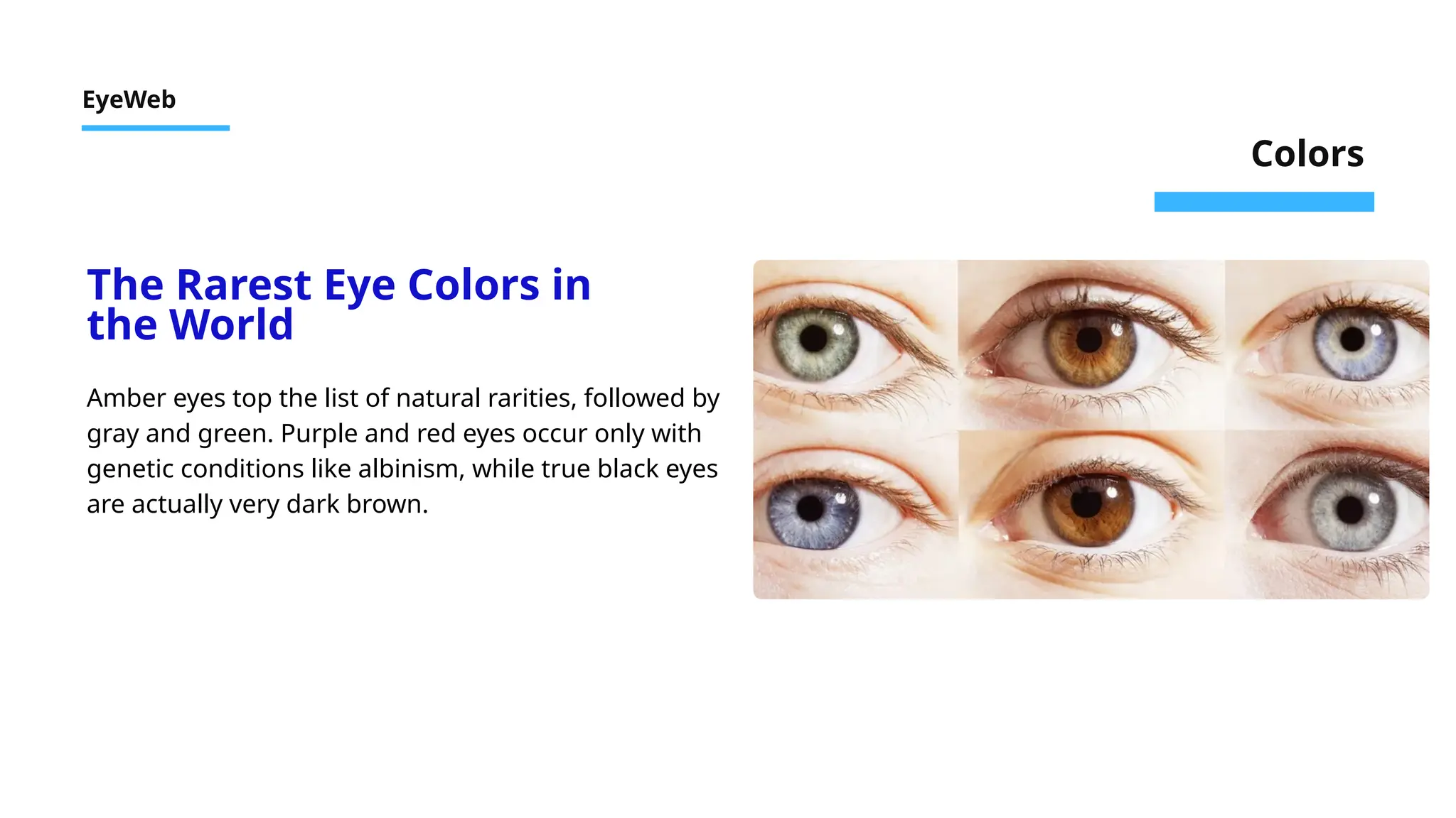 Genetic Art: The Rare Colors of Human Eyes | PPTX
