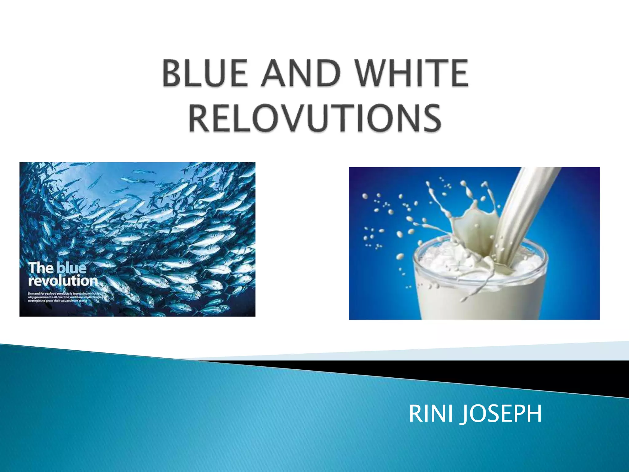 Blue and white relovutions | PPTX