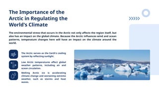 Blue and White Simple The Future Of The Arctic Presentation.pptx