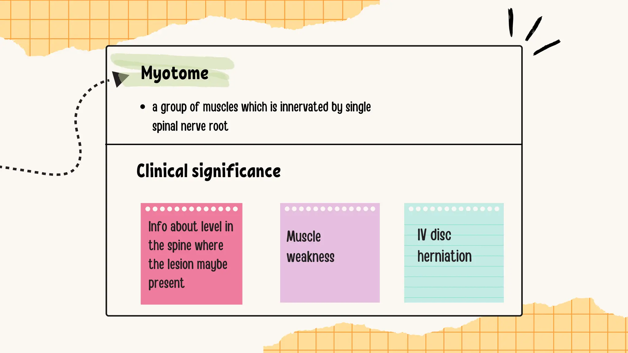 Dermatome and myotome test & pathology.pdf