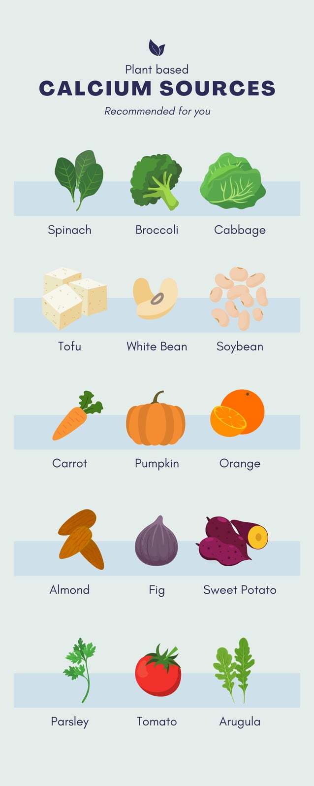 Blue aqua plant based calcium sources infographic | PDF