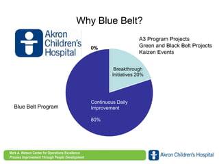 Blue Belt Program Review | PPTX