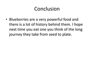 Blueberries | PPTX
