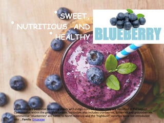 Blueberry | PPTX