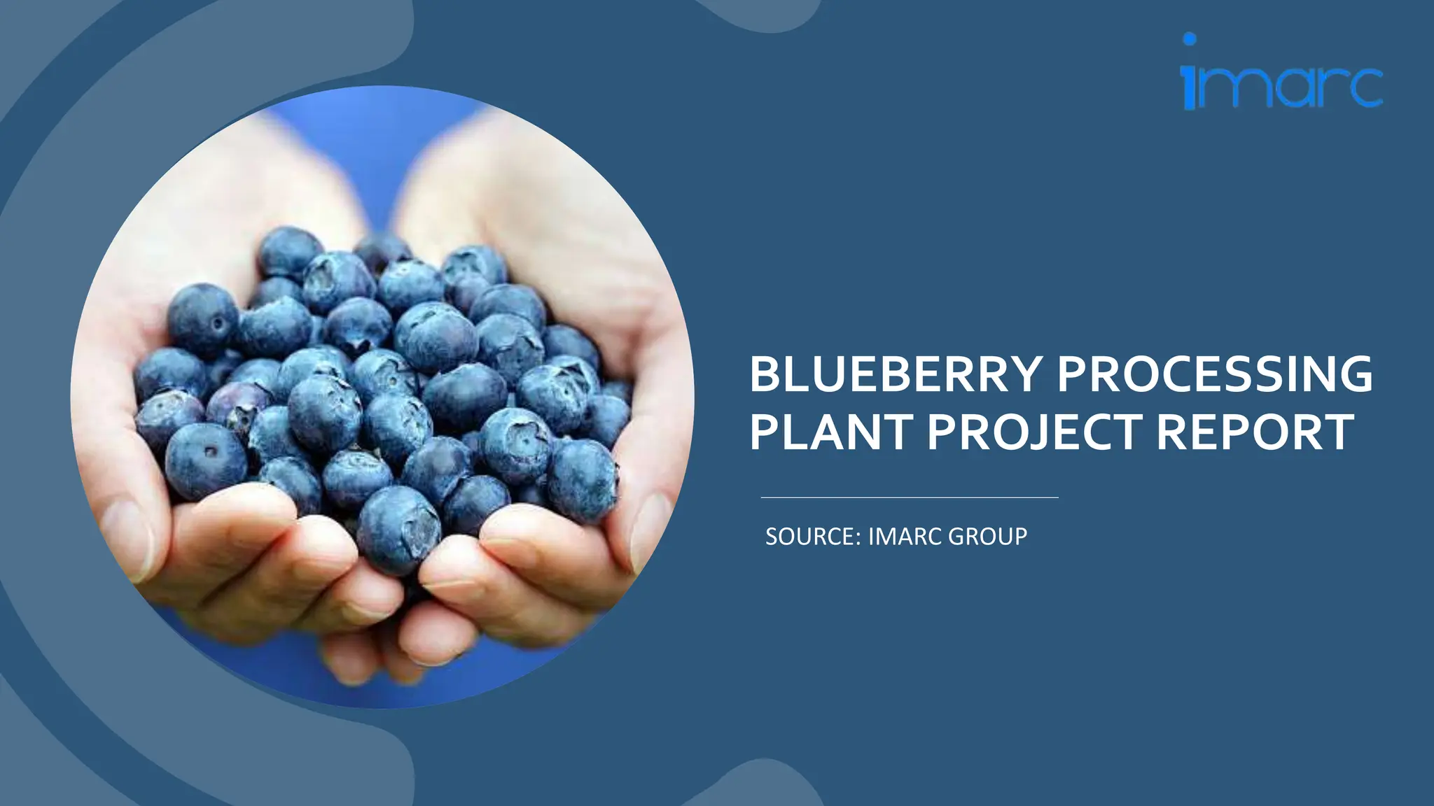 Detailed Project Report on Setting up a Blueberry Processing Plant | PPTX