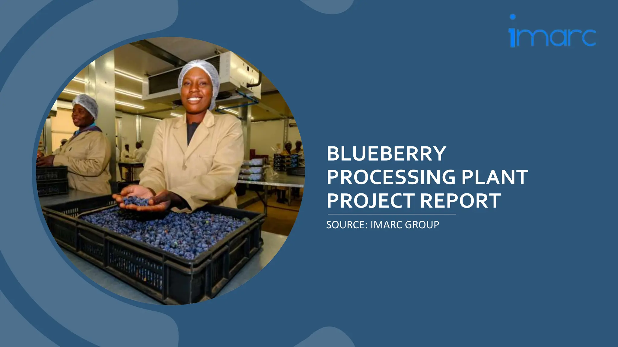 Blueberry Processing Plant Project Report.potx