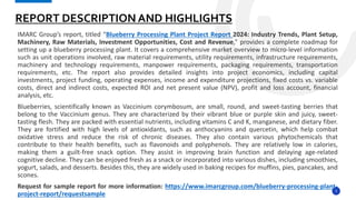 Blueberry Processing Plant Project Report.potx