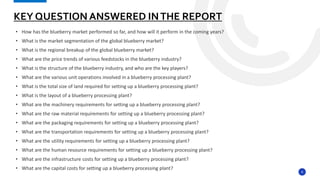Blueberry Processing Plant Project Report.potx