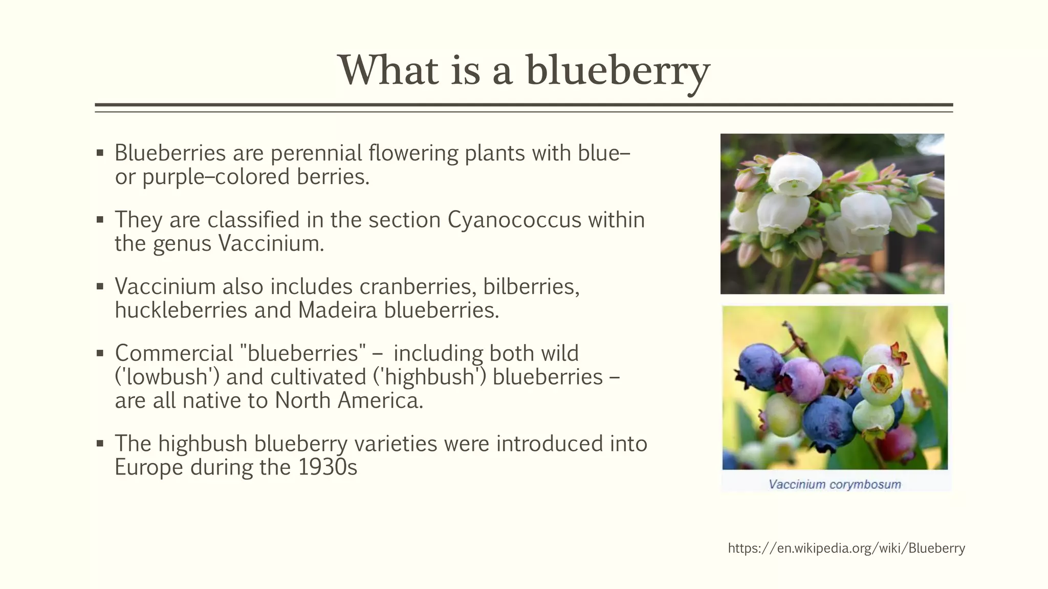 Fruit as Medicine: blueberry, Genus vaccinium | PDF
