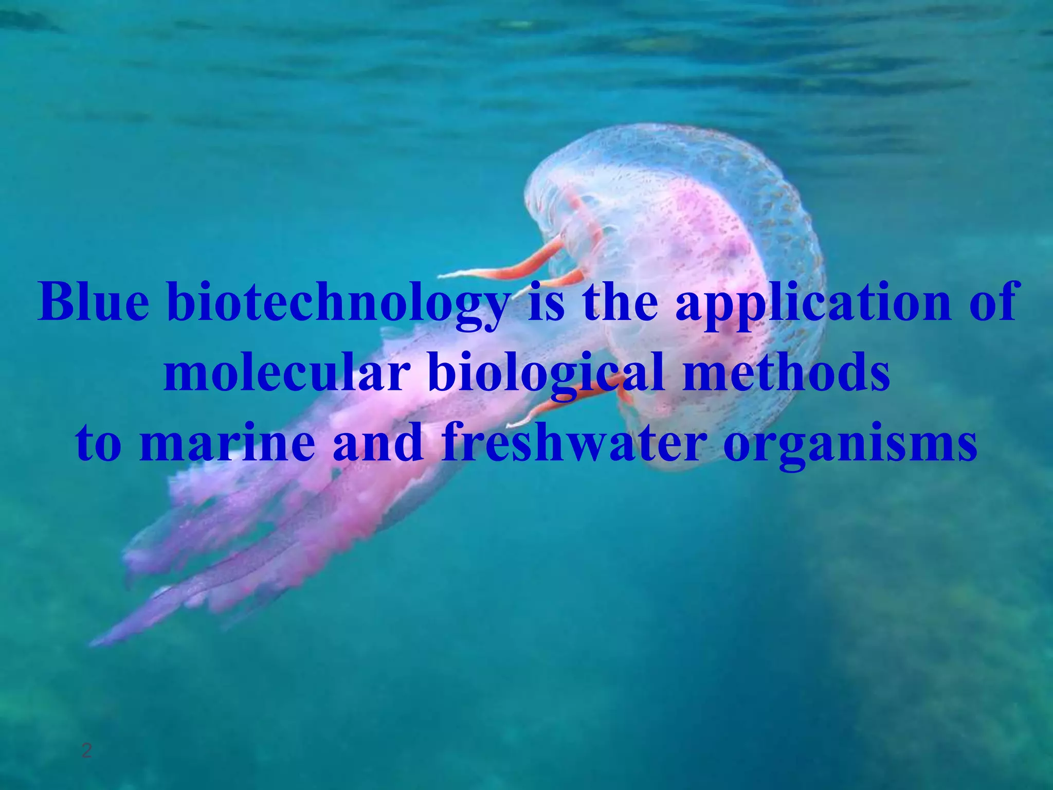 Blue biotechnology | PPTX