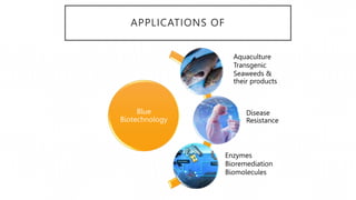 blue biotechnology.pptx