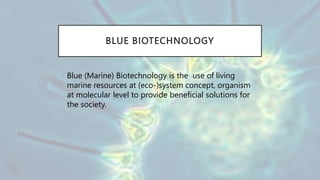 Blue biotechnology (2).pptx