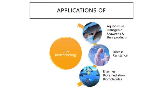 Blue biotechnology (2).pptx