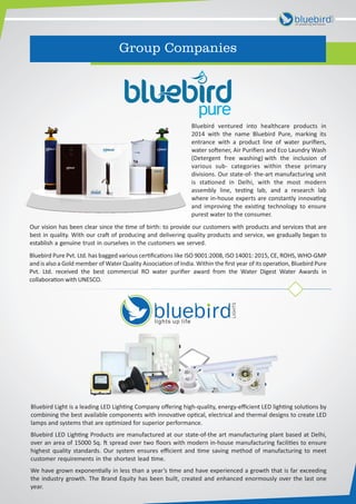 Bluebird Solar Pvt. Ltd - corporate profile | PDF