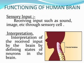 Blue brain project | PPTX
