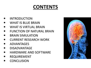 Blue brain | PPT