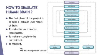Blue Brain | PPSX | Artificial Intelligence | Technology & Computing