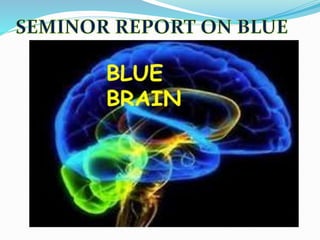 Blue brain | PPT