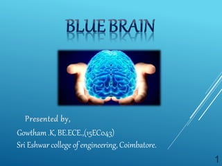 Blue brain | PPT