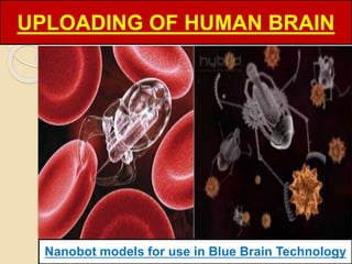 Blue brain | PPT