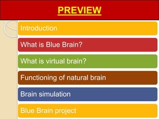 Blue brain | PPT