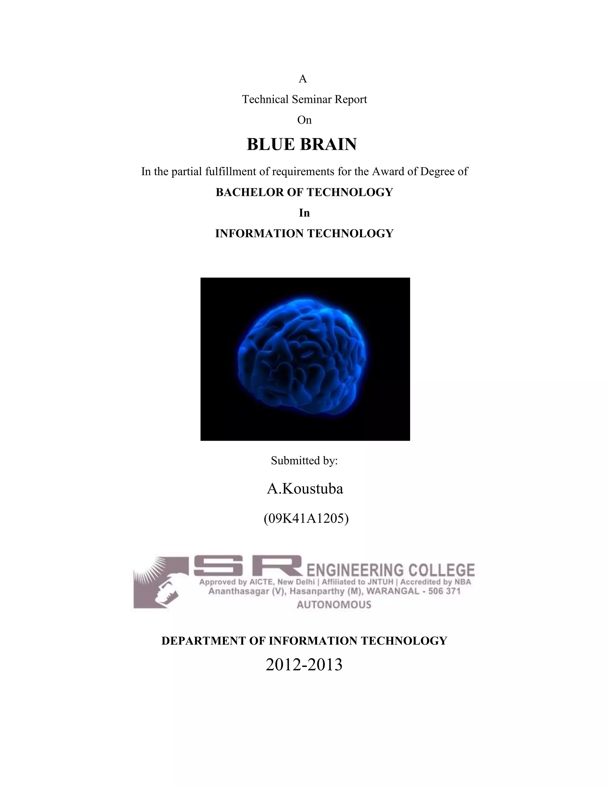 Bluebrain doc | PDF