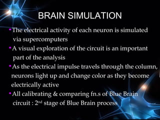 Blue Brain_Nikhilesh+Krishna Raj | PPT