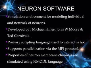 Blue Brain_Nikhilesh+Krishna Raj | PPT