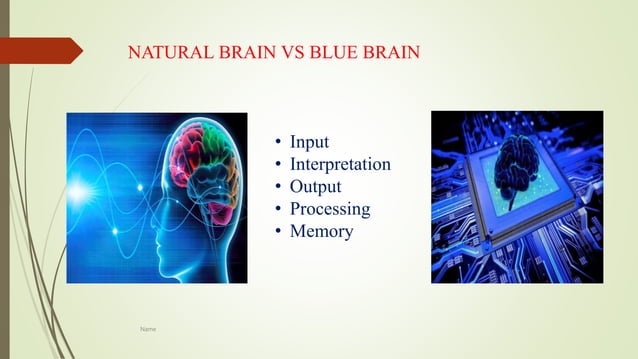Blue brain ppt | PPT