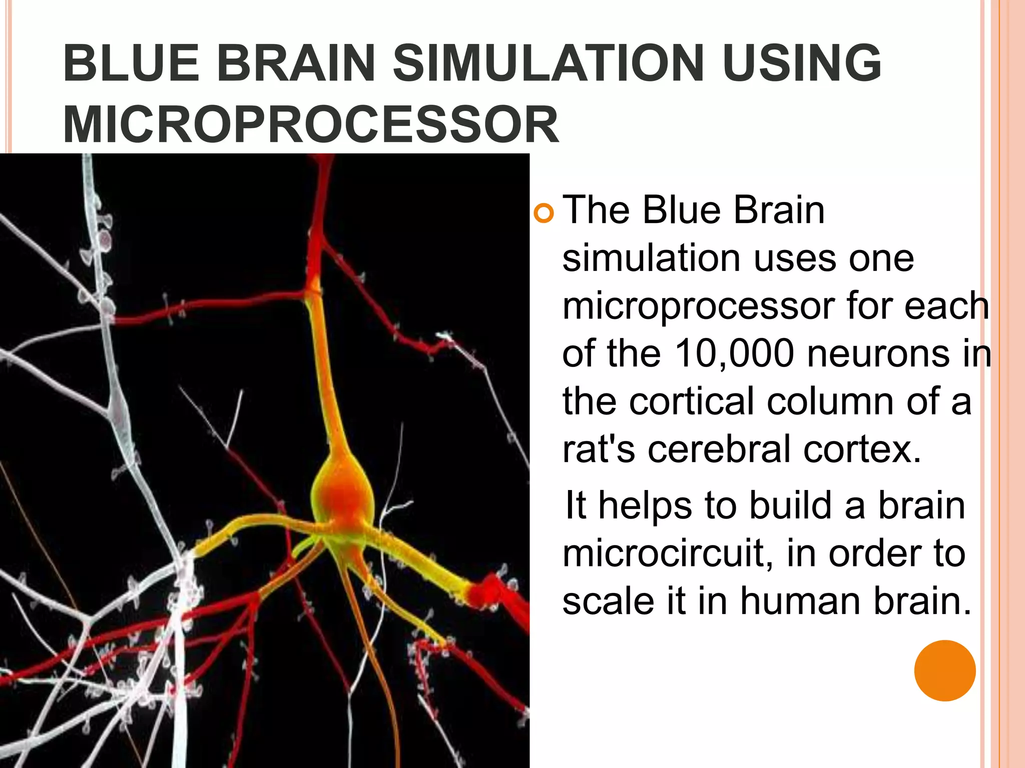 Blue Brain ppt.pptx